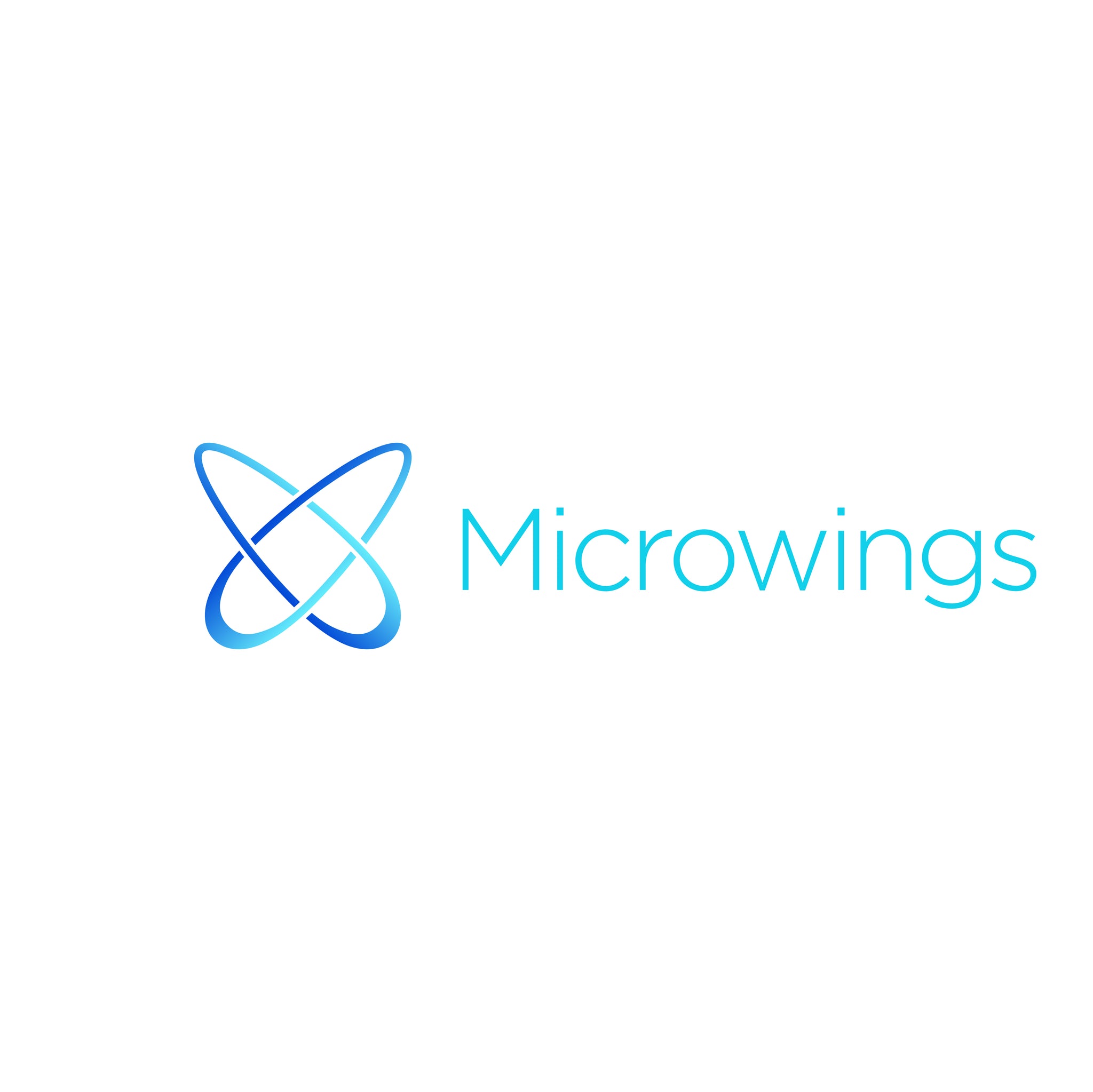 MICROWINGS